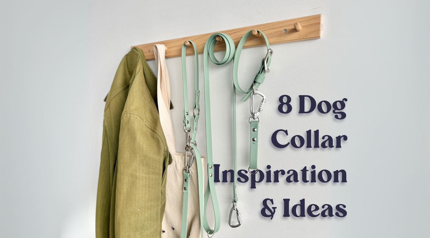 8 Aesthetic Dog Collars That Are Comfortable For Dogs – Colours by Emma