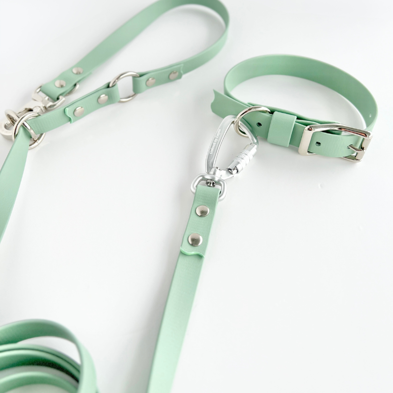 Durable & Minimalist Hands Free Dog Leashes | Colours By Emma – Colours ...