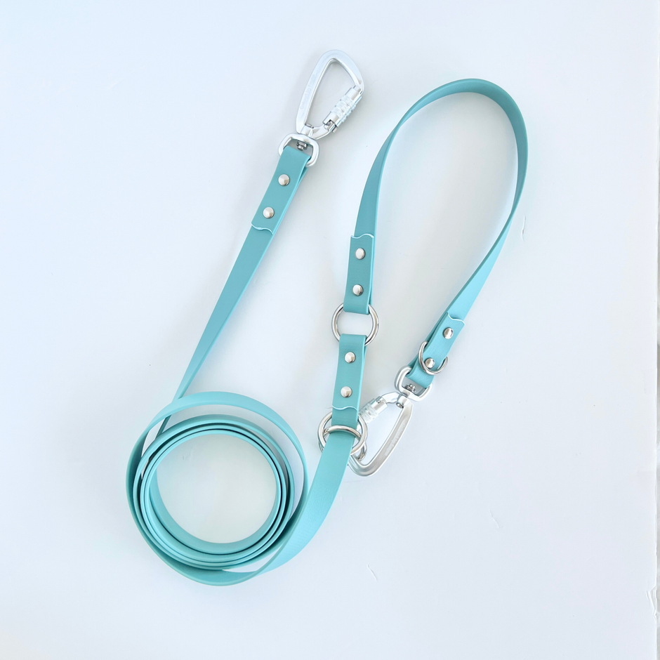 Durable & Minimalist Hands Free Dog Leashes | Colours By Emma – Colours ...